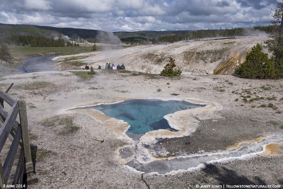 Blue Star Spring - Yellowstone Naturalist