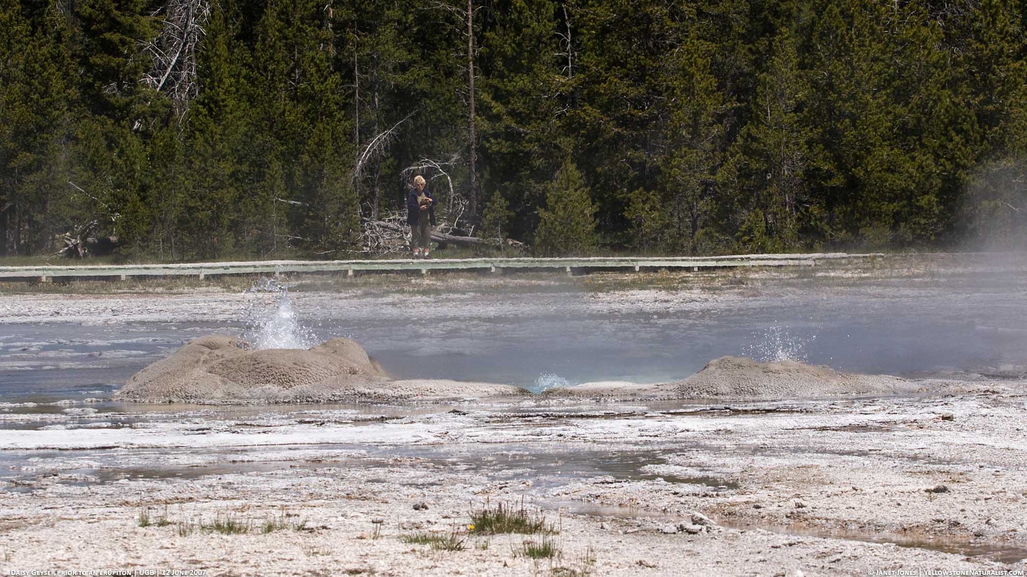 Get to know Daisy Geyser - Yellowstone Naturalist