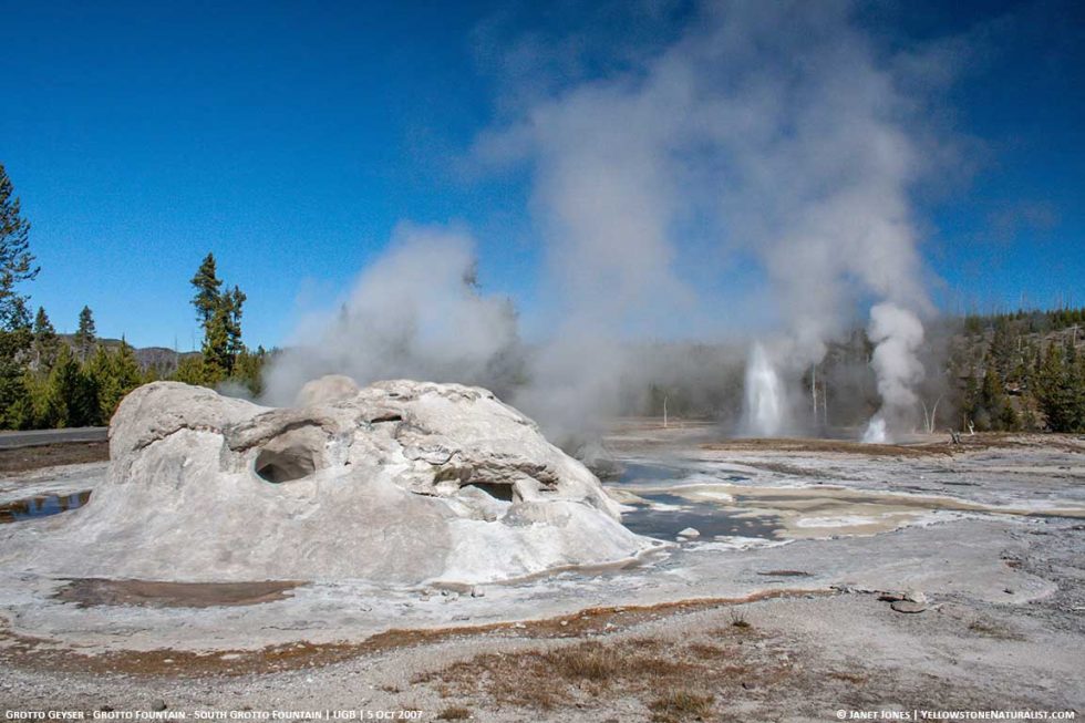 Get to know Grotto Geyser - Yellowstone Naturalist