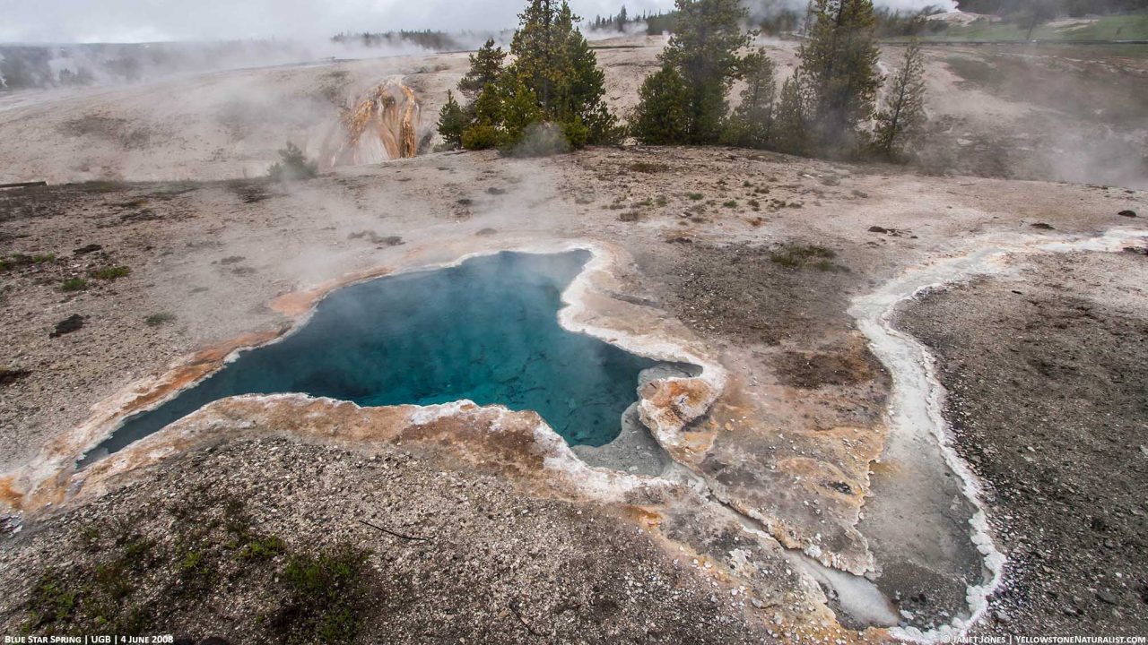 Blue Star Spring - Yellowstone Naturalist