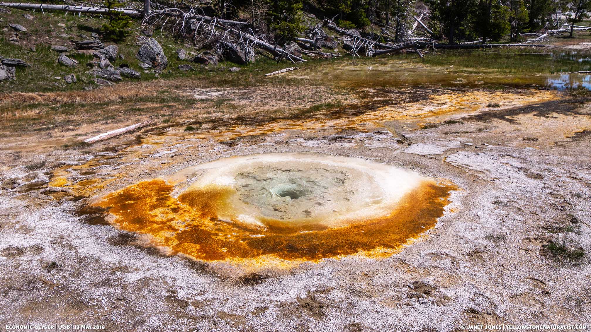 2018 Summary: Economic Geyser - Yellowstone Naturalist