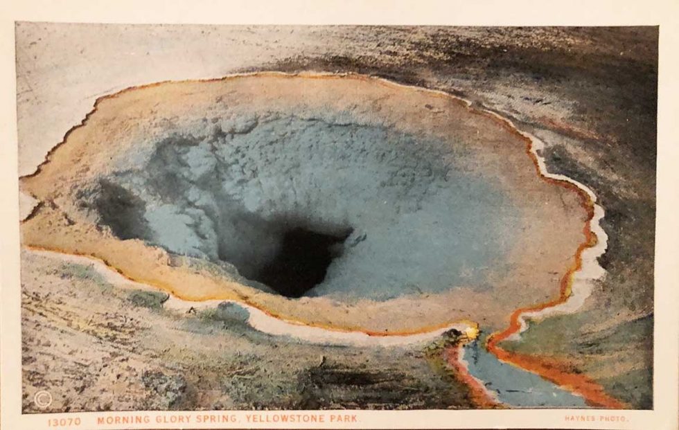 Get to know Morning Glory Pool - Yellowstone Naturalist