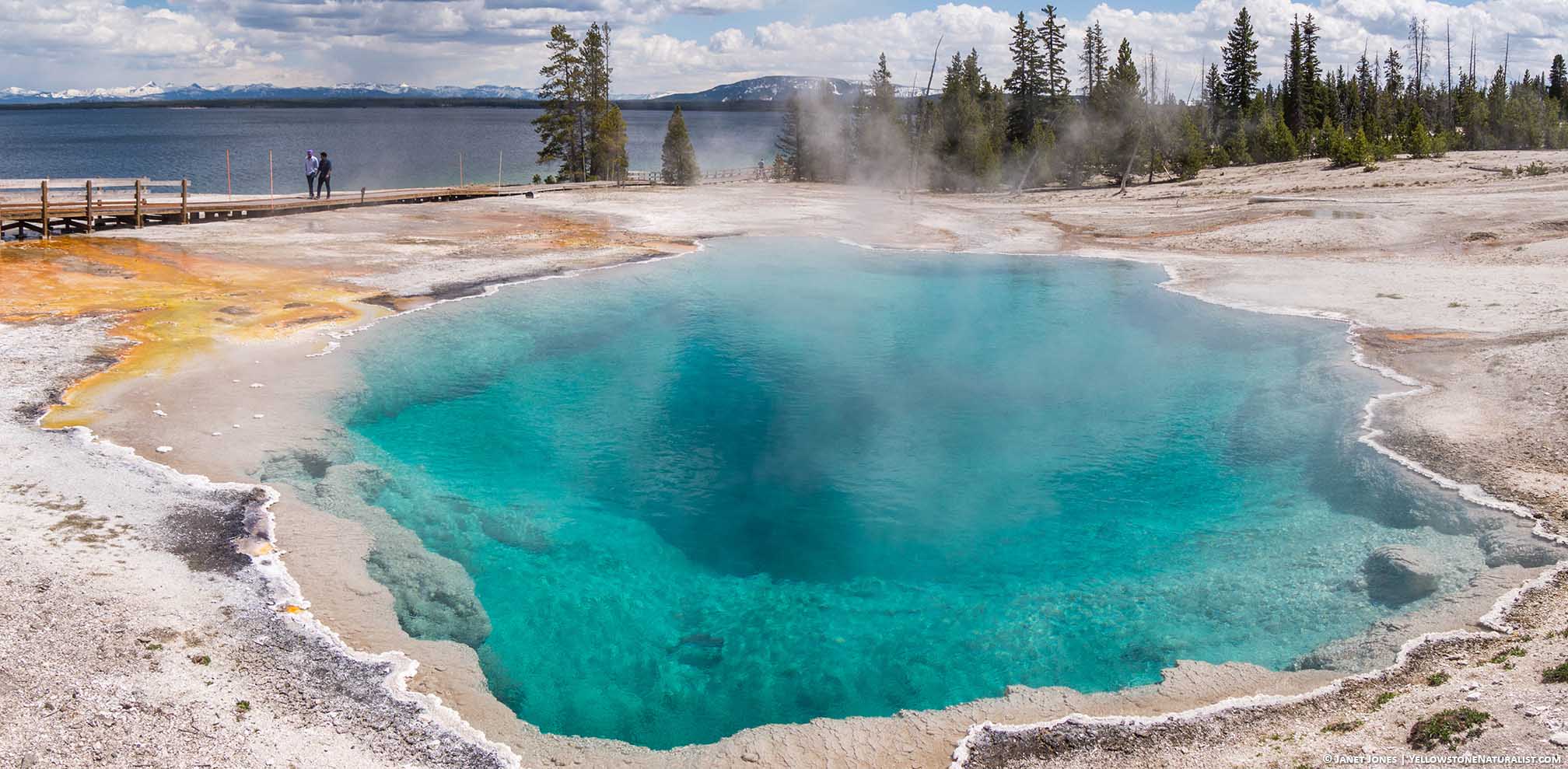 Why is it called Black Pool when it's blue? - Yellowstone Naturalist