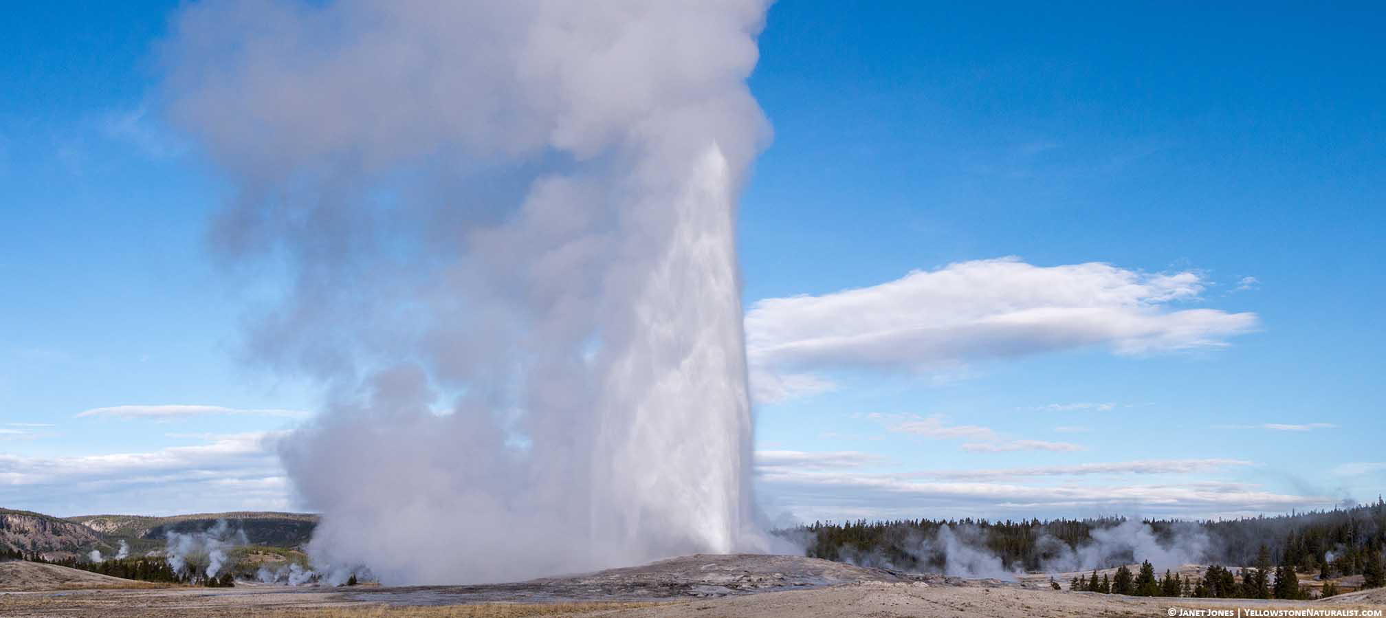 Book Review: Yellowstone Treasures 6th Edition - Yellowstone Naturalist