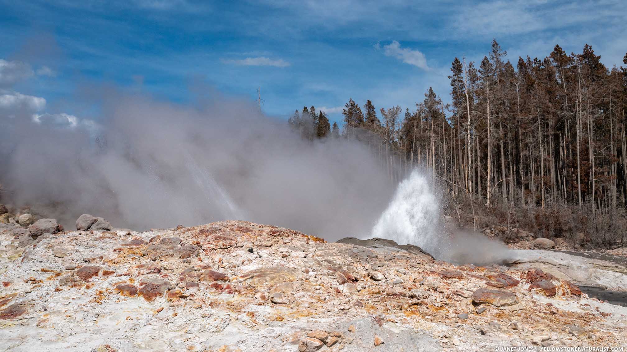 A Day at Steamboat Geyser - Yellowstone Naturalist