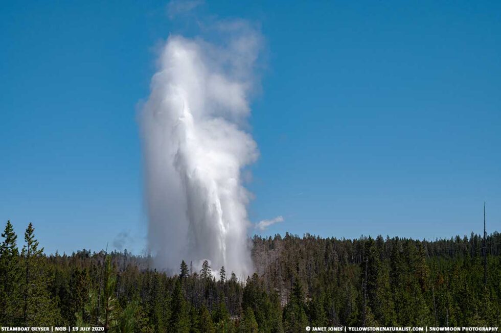 Timing for Steamboat Geyser 19 July 2020 - Yellowstone Naturalist