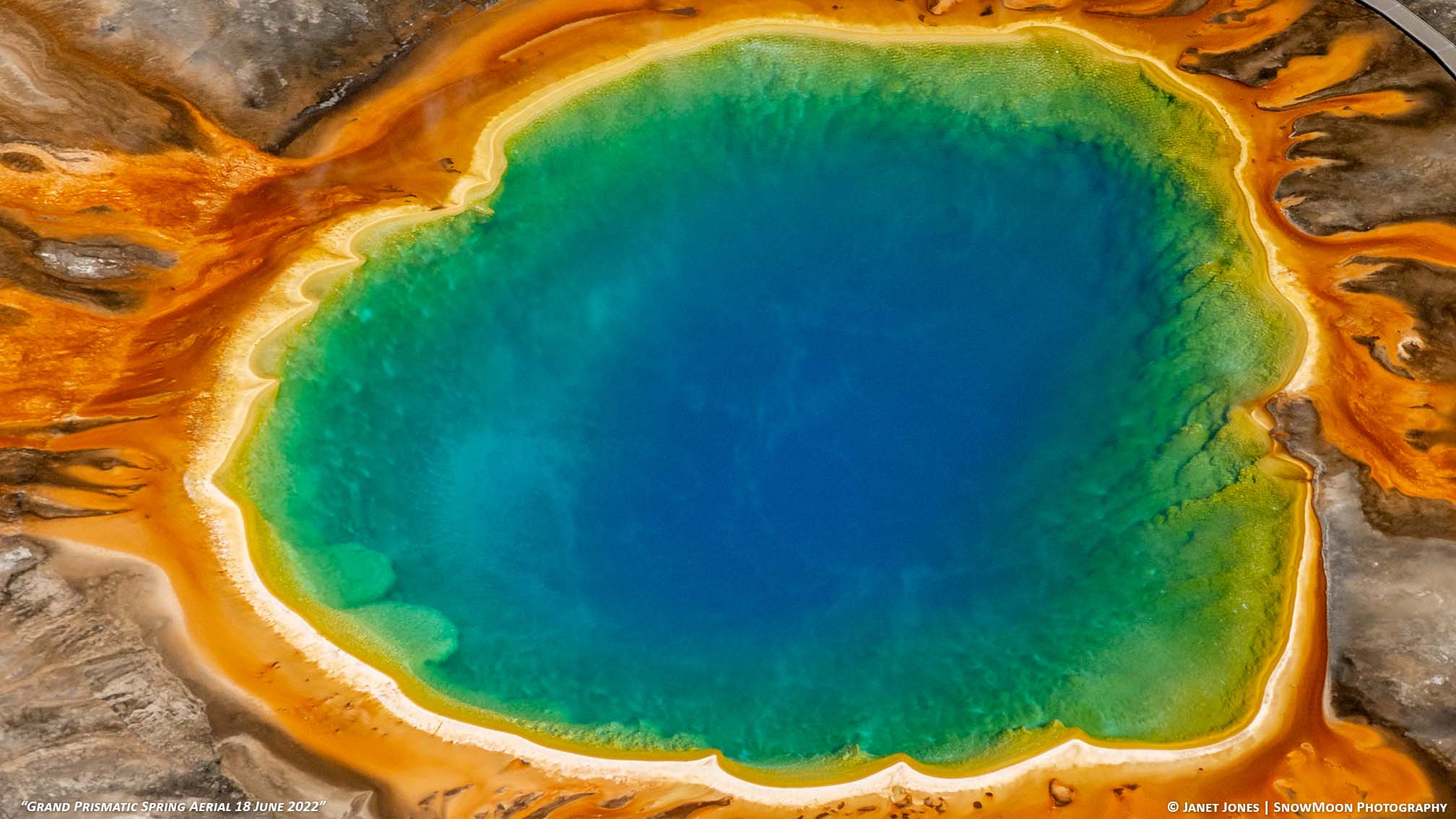 Home - Yellowstone Naturalist